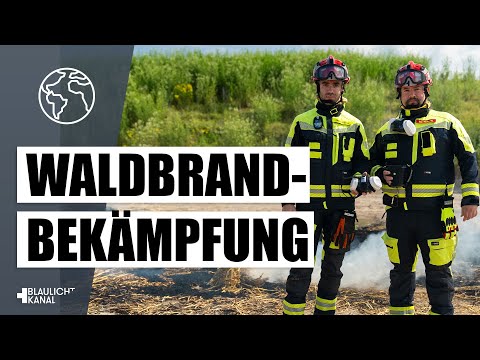Wie bekämpfe ich einen Waldbrand richtig? Lernen von den Profisđ˛đĽ