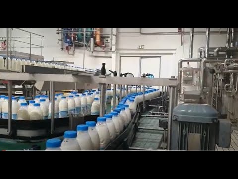 Milk bottles packed by Robopac Prasmatic TC 400 case packer