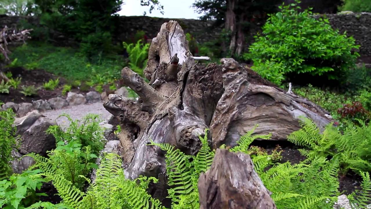 Sizergh Castle Gardens