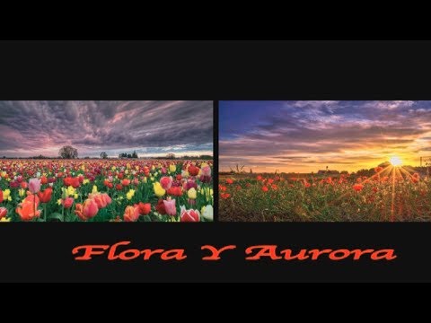 CUMBIA. FLORA y AURORA. Salvador Bravo.