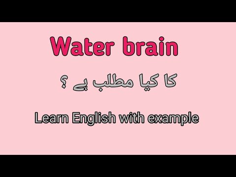 Water brain meaning in Urdu |