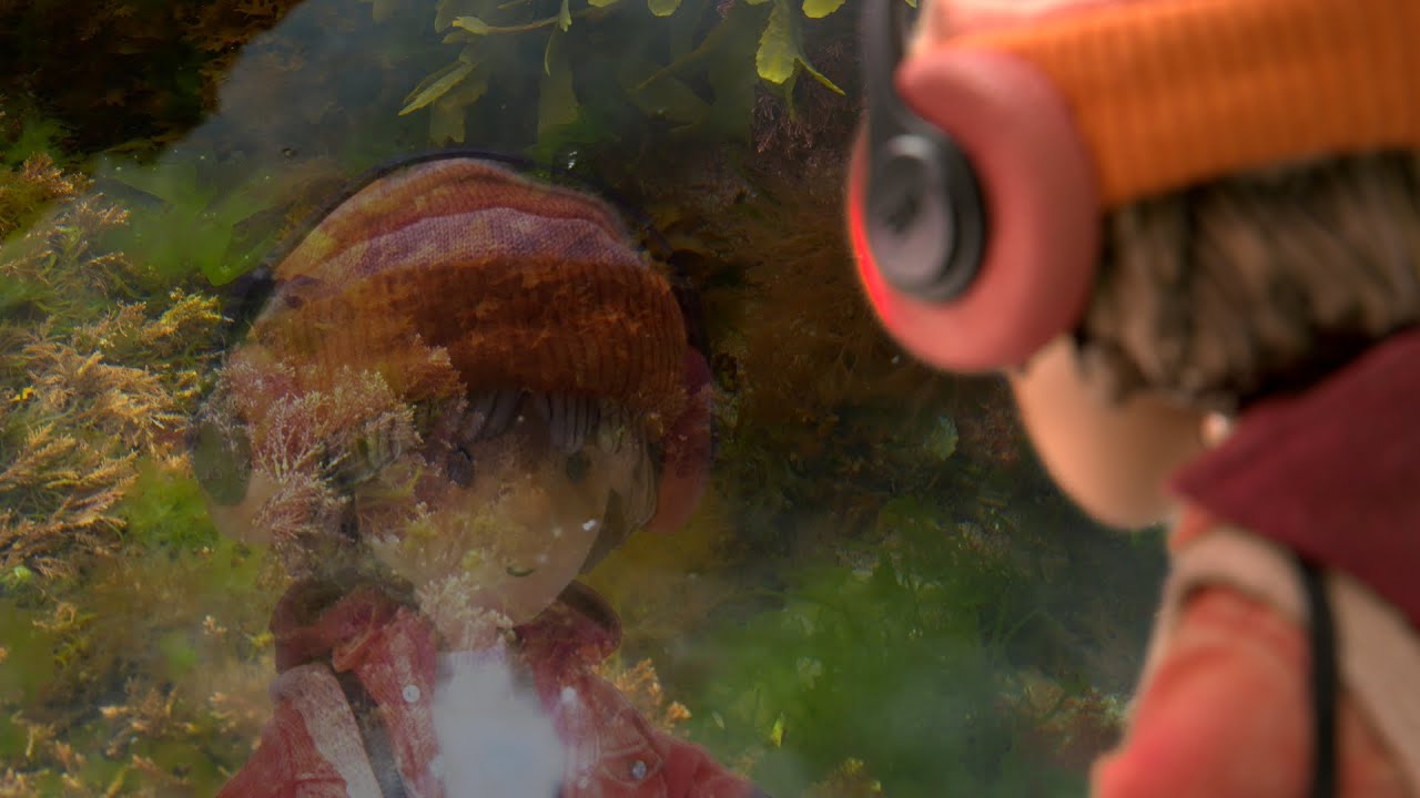 The Sound Collector - Rockpool