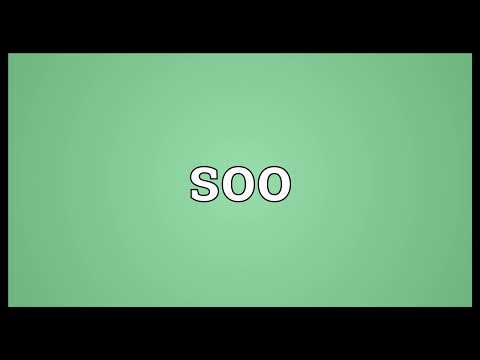 Soo Meaning