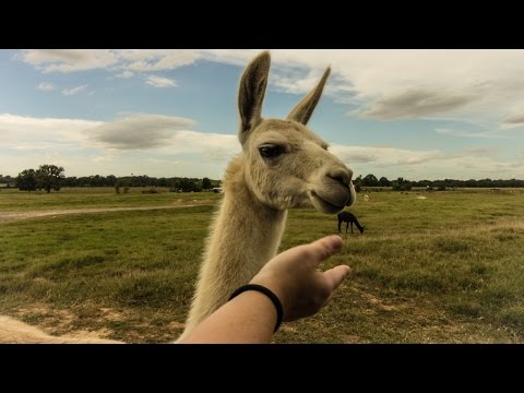 The Eaton Family goes to Tennessee Safari Park