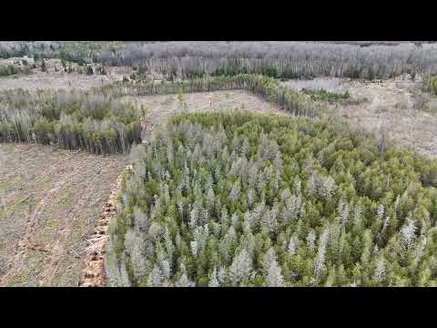 Michigan hunting lease now available on HLRBO!