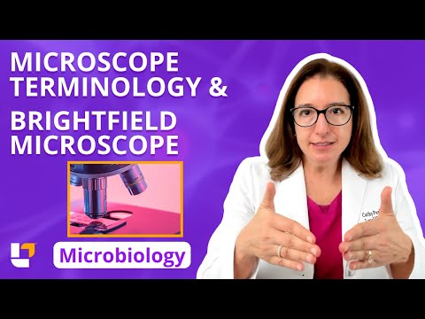 Microscope Terminology & Brightfield Microscope - Microbiology for Pre-Med / Nursing | @leveluprn