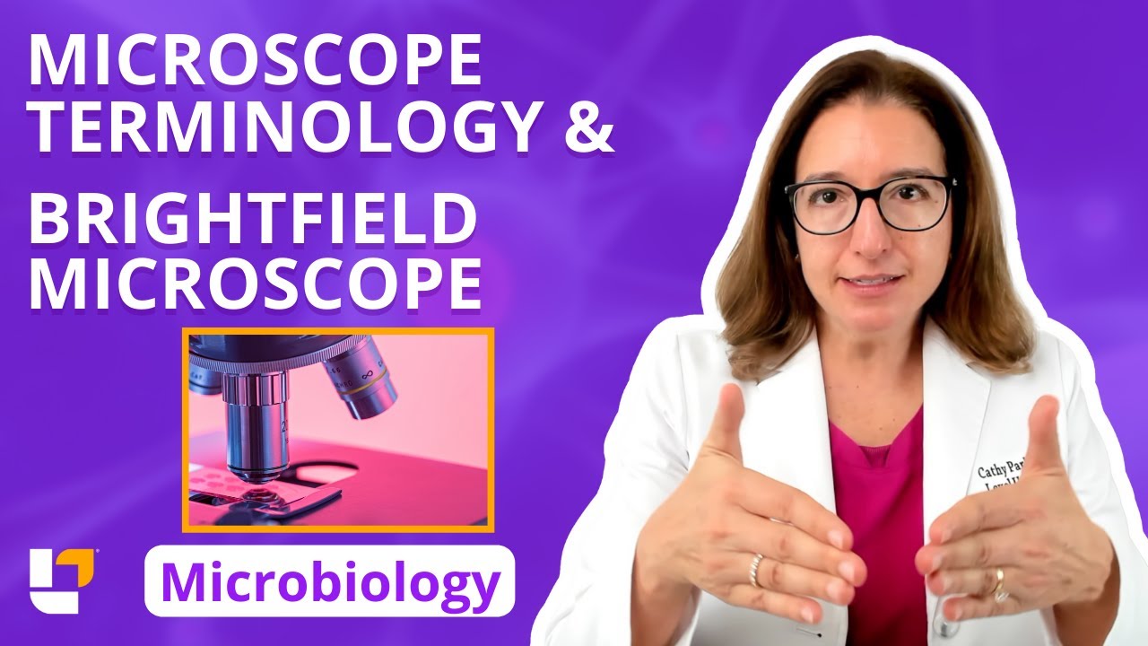 Microscope Terminology & Brightfield Microscope - Microbiology for Pre-Med / Nursing  |​⁠ @leveluprn
