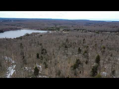 Michigan hunting lease now available on HLRBO!