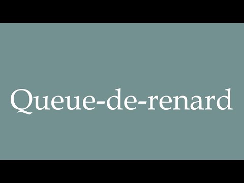 How to Pronounce ''Queue-de-renard'' (Foxytail) Correctly in French