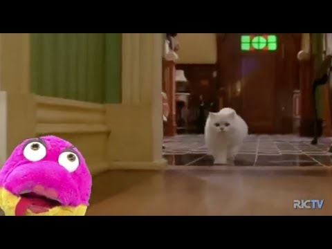 Ator Chris Pratt é dono do gato do filme Stuart Little | ND Mais