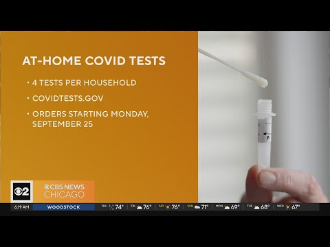 Free COVID tests will be available again