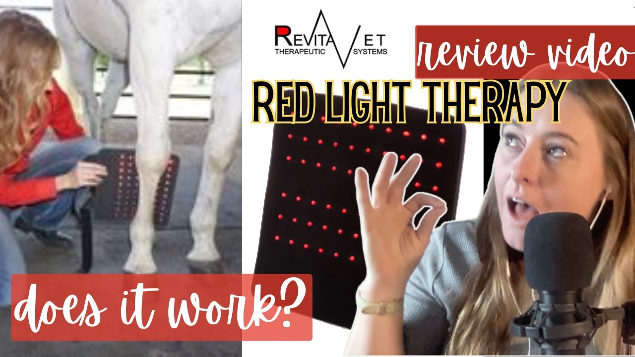 RevitaVet Red Light Therapy for Horses Review, Does It Work?
