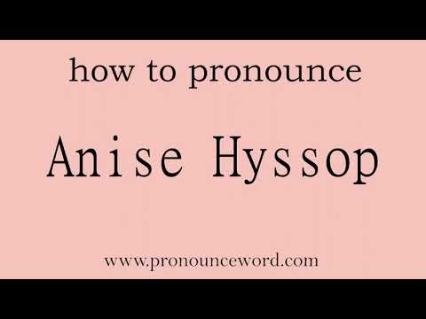Anise Hyssop: How to pronounce Anise Hyssop in english (correct!).Start with A. Learn from me.