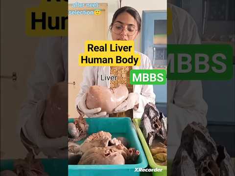 Real Liver Human Body #neet #mbbs #shorts