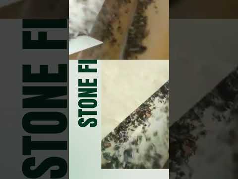 Black Stone Flower - Stone Flower Latest Price, Manufacturers & Suppliers