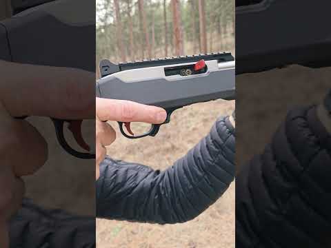 Ruger 10/22 60th Anniversary Edition!
