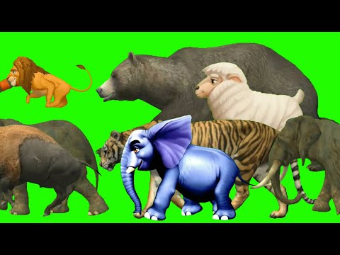Forest animals green screen | Animals stampede | Stampede green screen | Wild animals stampede video
