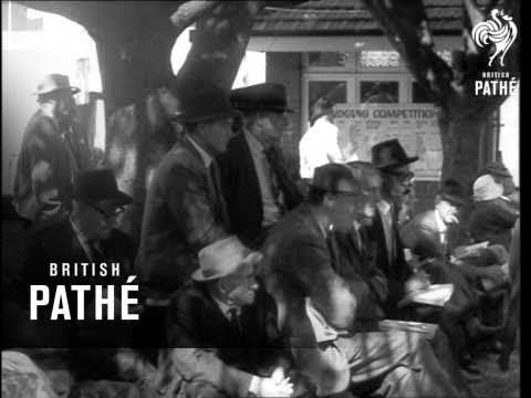 Royal Australian Show In Sydney (1966)
