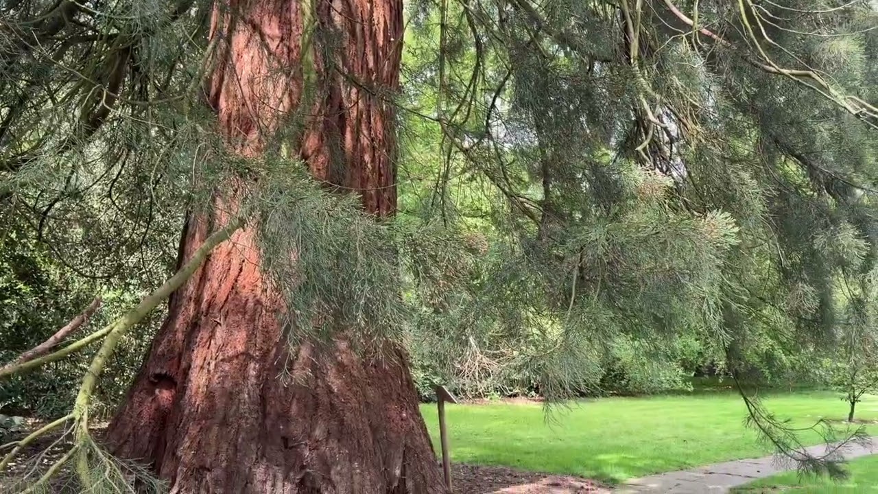 Arley Arboretum may 2026