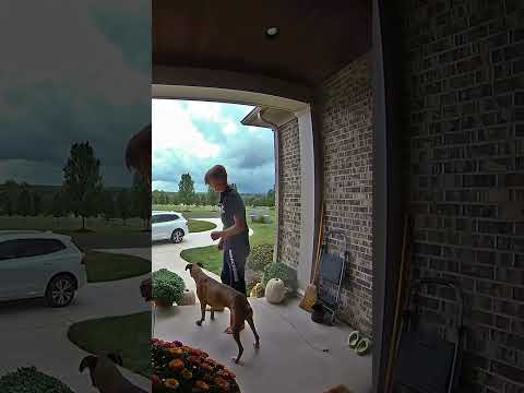Boy And Brave Dog Check Out Lightning Storm