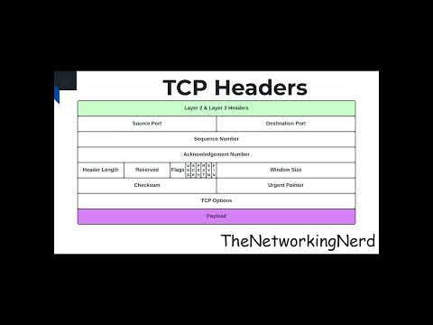 TCP Options #tcp #tcpip #header