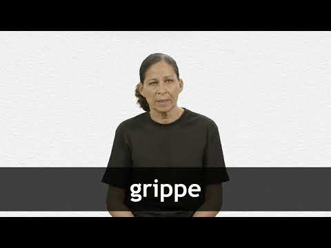 English Translation of “GRIPPE” | Collins French-English Dictionary