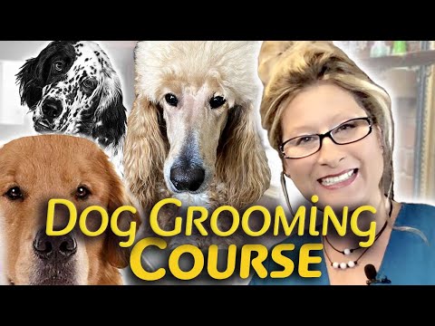 FINALLY a DOG GROOMING COURSE made for PET OWNERS and BEGINNERS