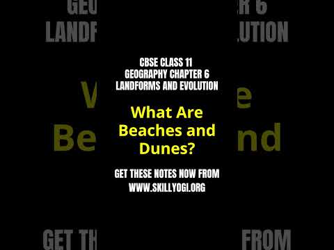 What Are Beaches and Dunes? #class10cbsesyllabus #ncertsolutions