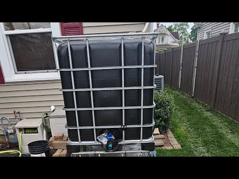 Collect FREE water using an IBC tote