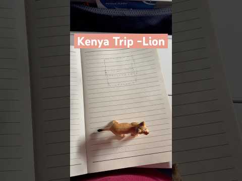 Turns out Hakuna Matata actually means “No worries” in Swahili! #perspective #animals #miniature