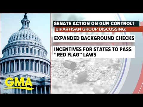 Bipartisan lawmakers push for action on gun control measures l GMA