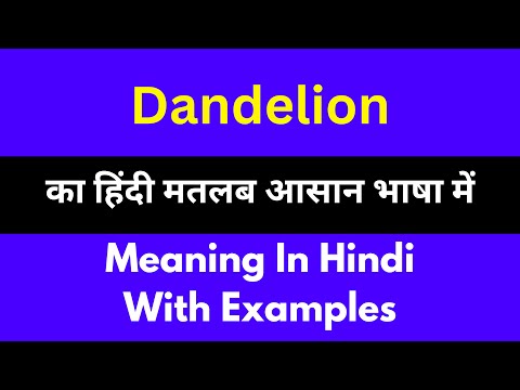 Dandelion meaning in Hindi/Dandelion का अर्थ या मतलब क्या होता है.