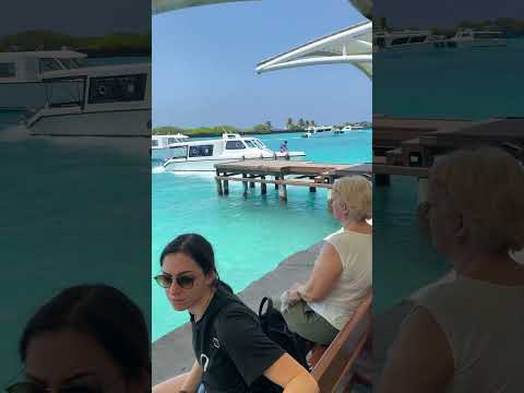 Male airport Maldives, not your average airport drop off area #boats #maldives #airport #watertaxi