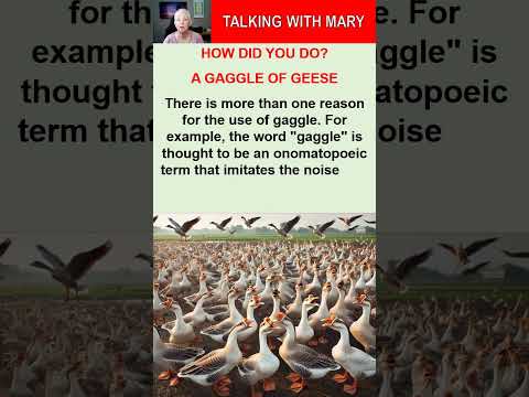 Word of the day Collective Nouns Geese #englishvocabulary #collective nouns