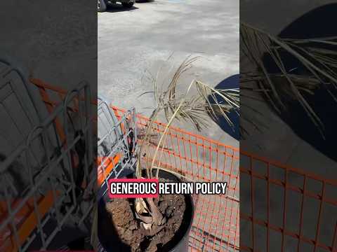 Will Home Depot return this plant 7 Months later? Let’s find out! #returns #plants #LifeHack #home