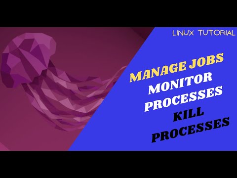 How to Monitor and Manage Processes in Linux | How to Kill Processes