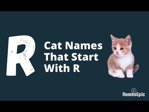 20 Best Cat Names That Start With R | Male and Female Cat Names