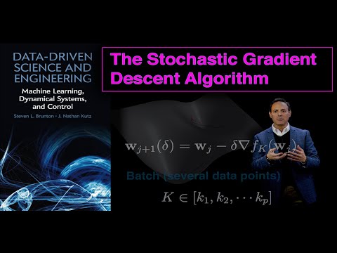 The Stochastic Gradient Descent Algorithm