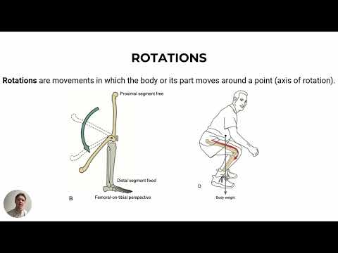Kinesiology: Musculo-skeletal System