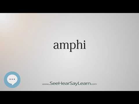 amphi (Every English Word Pronounced) 📕🔊🗣️😎✅