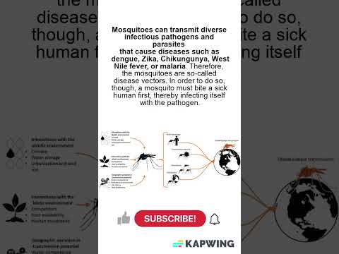 What are mosquitoes disease vectors