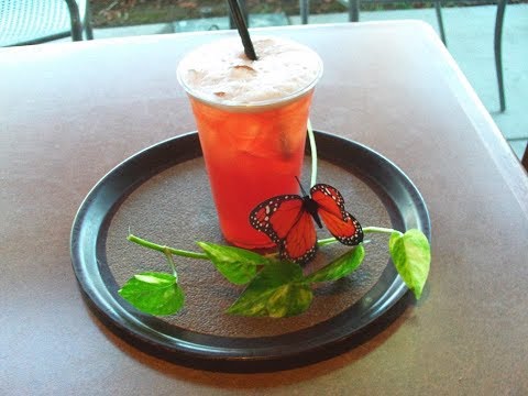 Tea-torial: What is Tea?