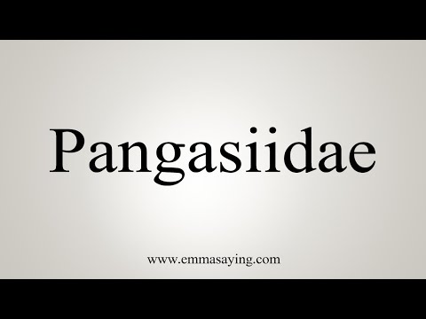 How To Say Pangasiidae