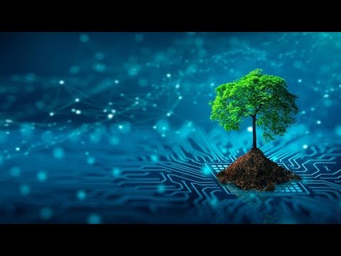 Green Software Solutions for Reducing Carbon Emissions