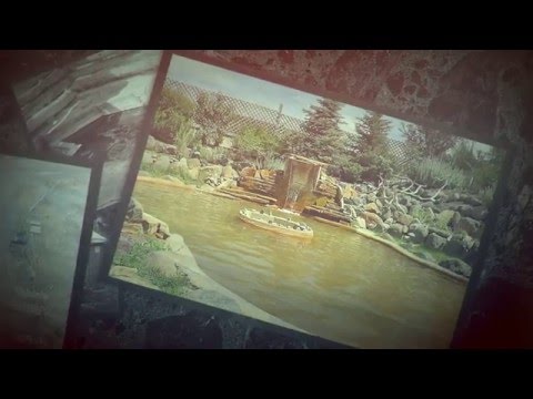 Orvis Hot Springs