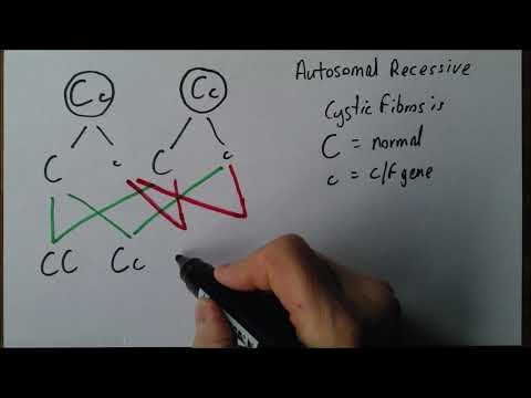 Introducing Genetics 5, Autosomal recessive inheritance