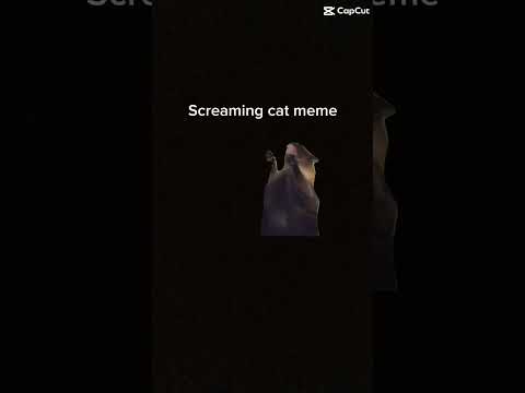 Screaming cat meme