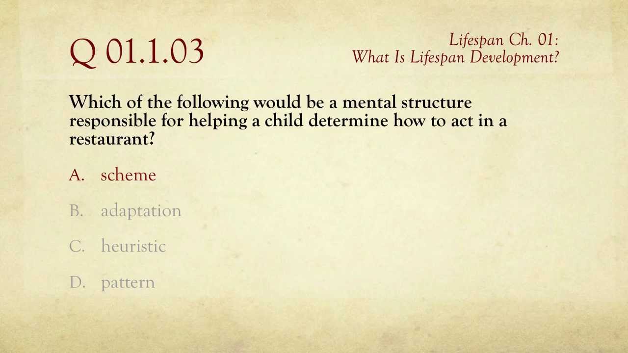 PSY 1100, Ch. 01: What Is Lifespan Development? / Review of Quiz 1