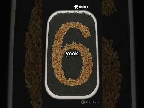 Korean Numbers 1–10 | Learn Fast with Hindi Pronunciation 🇰🇷