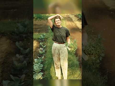 Martha Stewart Most Liked Instagram Posts and Photos!